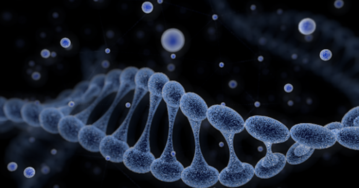 Breaking news: second DNA match - Plan Kiskeya Foundation - reuniting ...